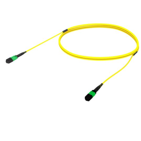 Netconnect Fibre Optic Cable Single-Mode OS2 MPO12 Female-MPO12 Female ...